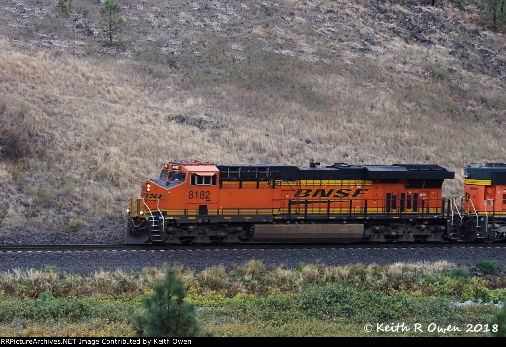 BNSF 8182